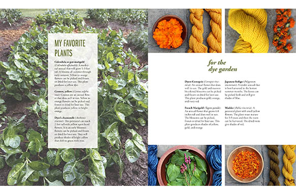 Kickstarter Book Printing: Slow Color: A Practical Guide to Dyeing ...